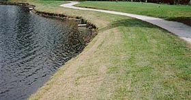 Erosion Control Shoreline Restoration / Geotec Tube Erosion Barrier