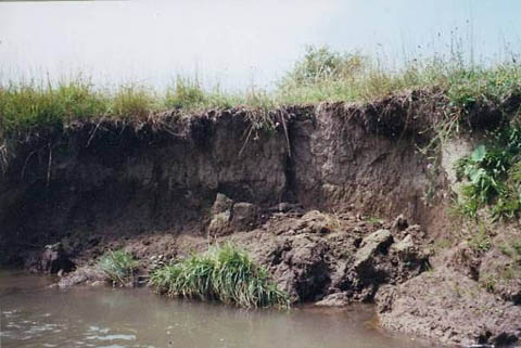 Erosion Control Shoreline Restoration / Geotec Tube Erosion Barrier